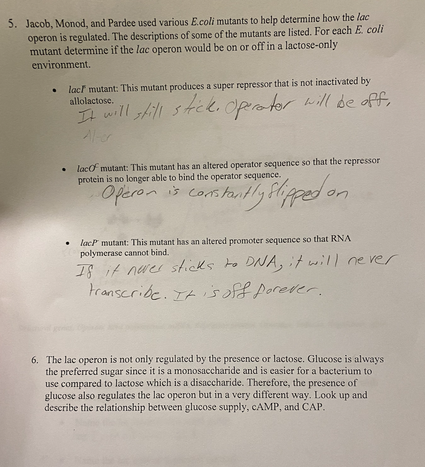 Solved 5. Jacob, Monod, and Pardee used various E.coli | Chegg.com