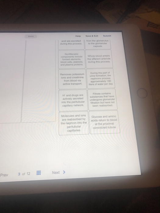 Solved veek 9: Urinary Concepts ??? save & Exit Submit 3 | Chegg.com