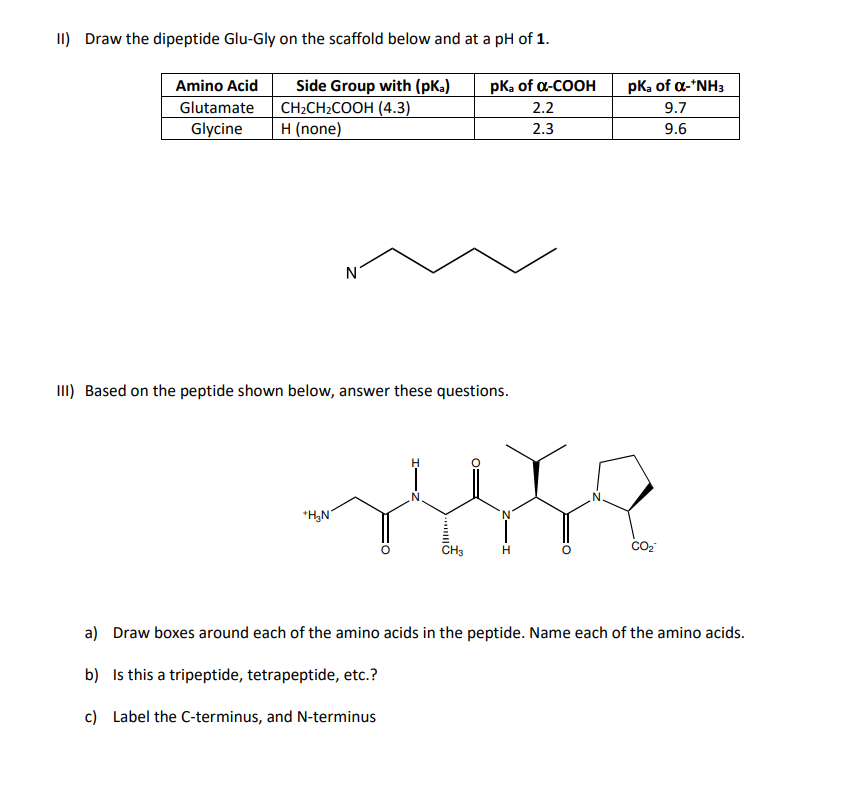 Solved 11) Draw the dipeptide Glu-Gly on the scaffold below | Chegg.com