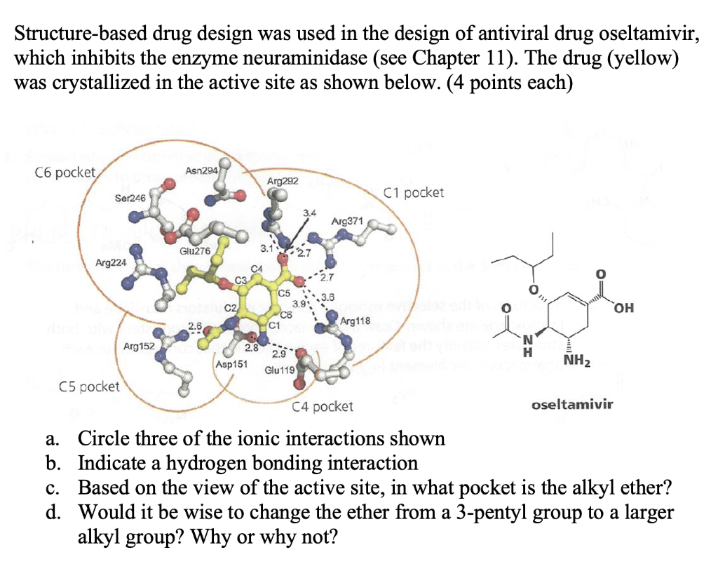 Solved Structure-based drug design was used in the design of | Chegg.com