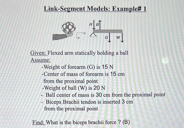 Solved Link-Segment Models: Example# 1 TA w Given: Flexed | Chegg.com