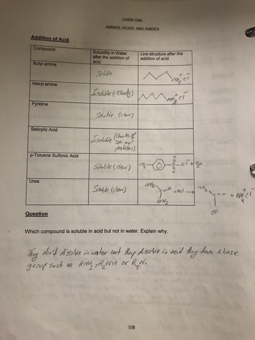 Solved CHEM 104L AMINES, ACIDS, AND AMIDES Solubility in | Chegg.com