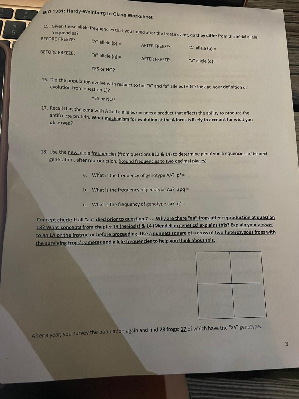 Solved BIO 1331: Hardy-Veinberg In Class Worksheet Emily | Chegg.com