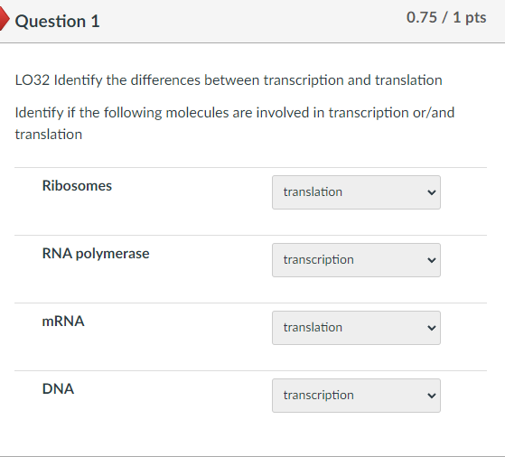 Solved LO32 Identify the differences between transcription | Chegg.com