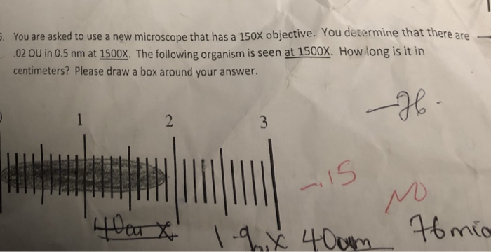 Solved You are asked to use a new microscope that has a 150X | Chegg.com