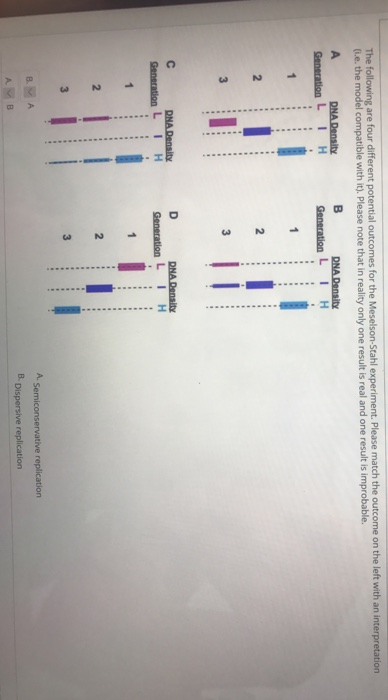 Solved The following are four different potential outcomes | Chegg.com