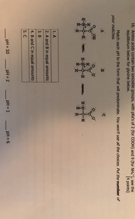 Solved 16. Amino acids contain two ionizable groups, with | Chegg.com