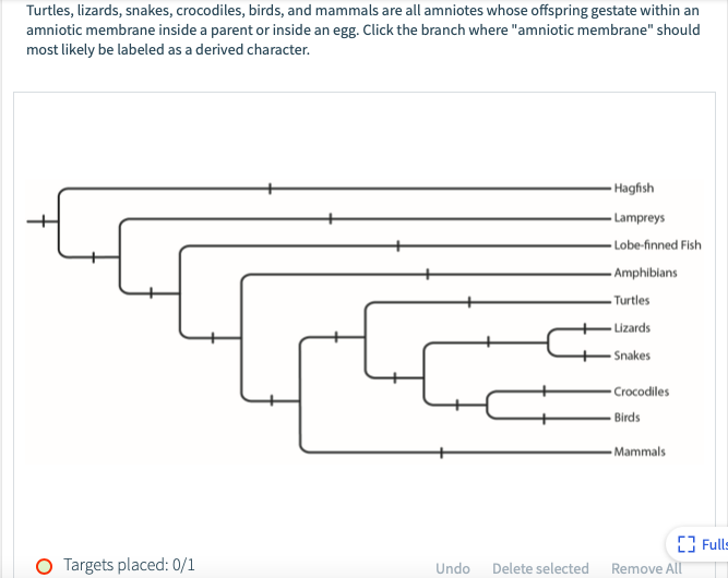 Solved Turtles, lizards, snakes, crocodiles, birds, and | Chegg.com