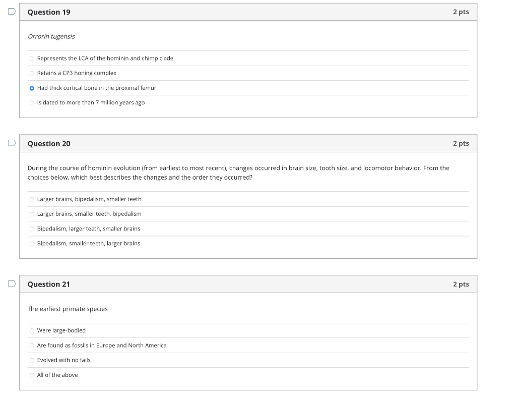 Solved Question 19 2 pts Orrorin tugensis Represents the LCA | Chegg.com