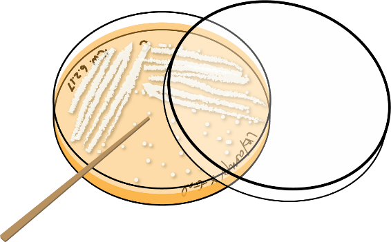 Solved Kindly answer all the questions. I ensure multiple | Chegg.com