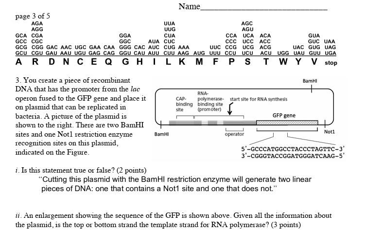 Solved 3. You create a piece of recombinant DNA that has the | Chegg.com