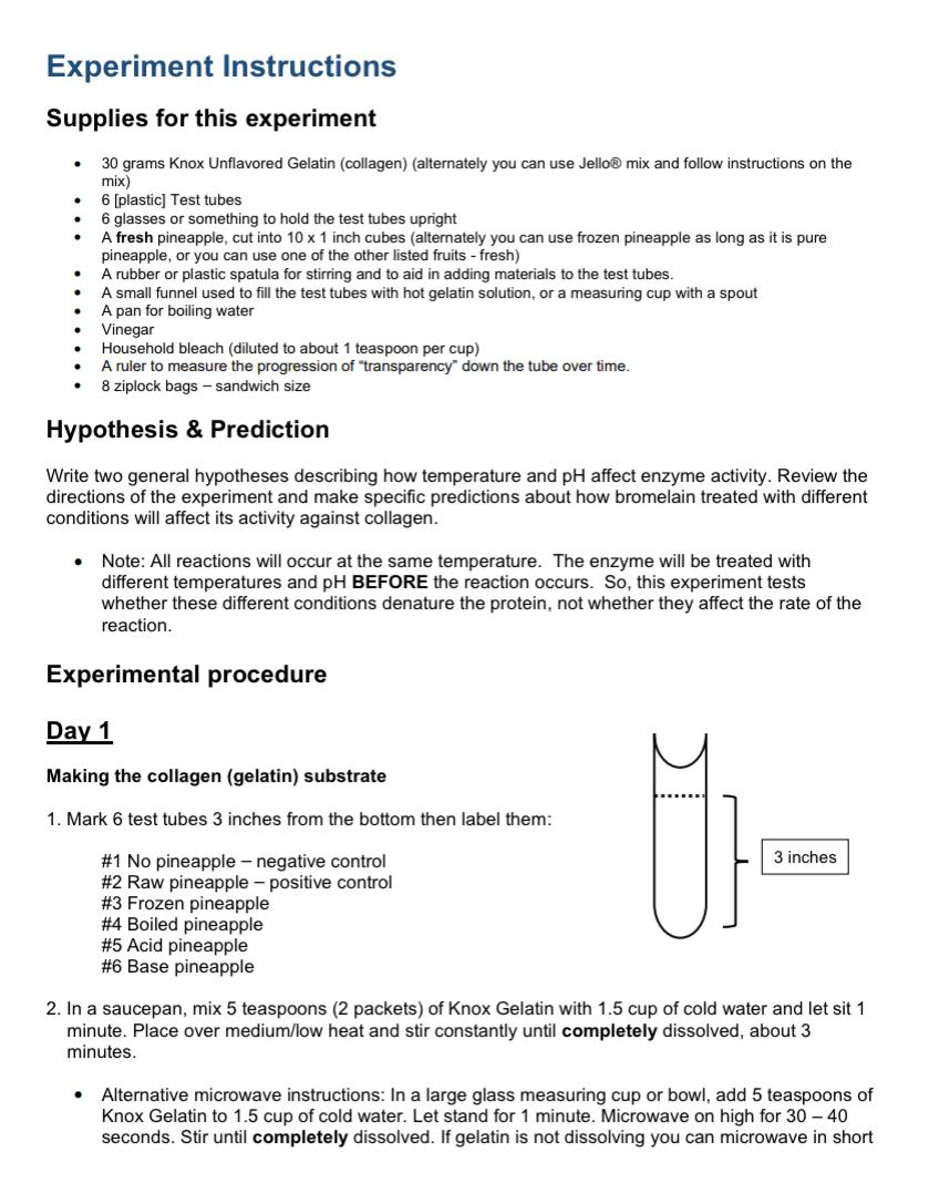 Enzymes in Action - Instructions Introduction The | Chegg.com
