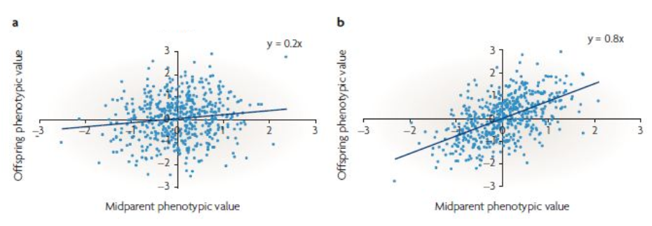 Solved The narrow-sense heritability of the two traits | Chegg.com
