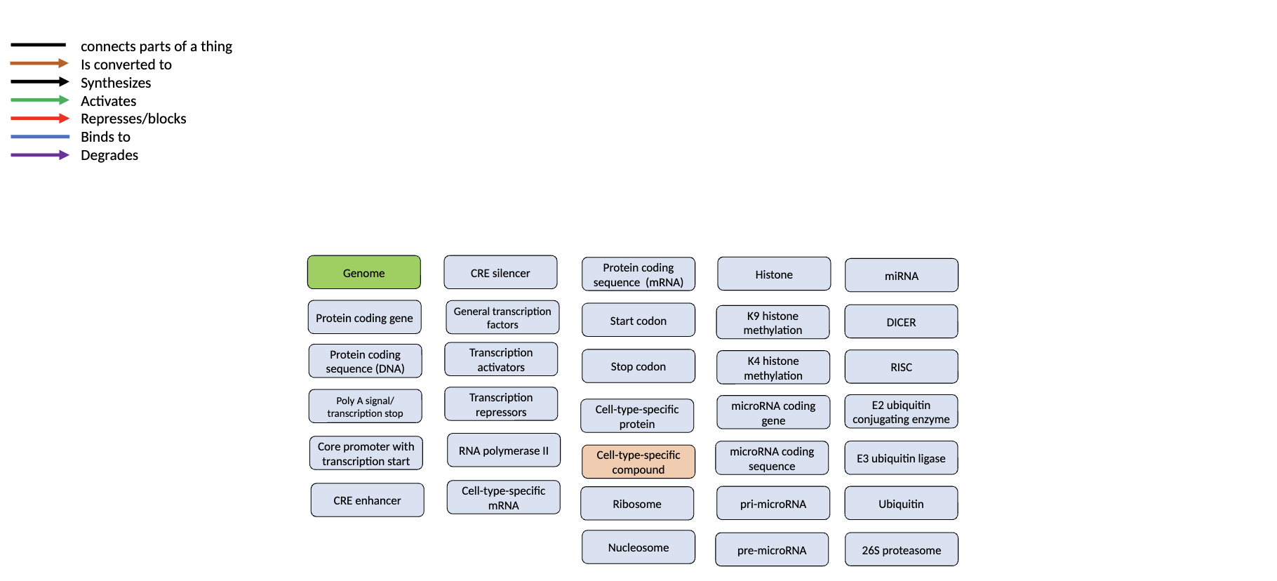 Solved Make a concept map of regulation of gene expression. | Chegg.com