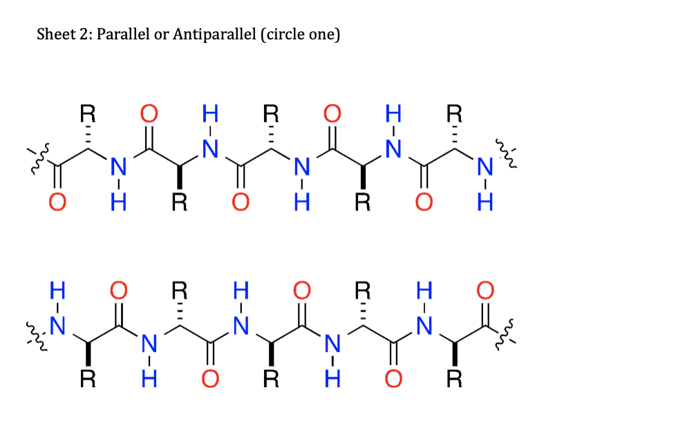 Solved Sheet 2: Parallel or Antiparallel (circle one) R R | Chegg.com