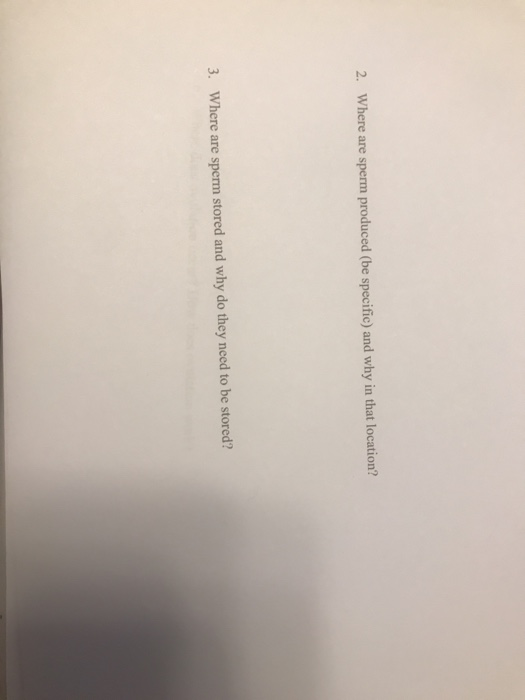 Solved 2 Where Are Sperm Produced Be Specific And Why In Chegg