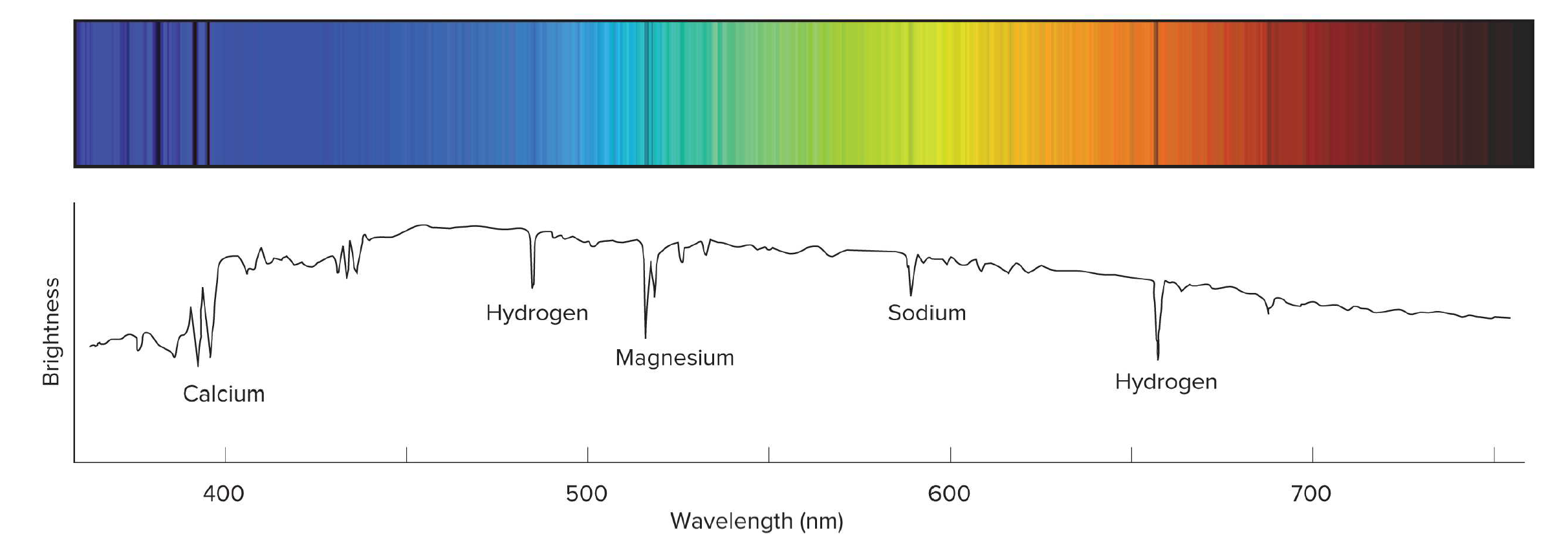 Solved The following diagram shows the Sun’s spectrum | Chegg.com