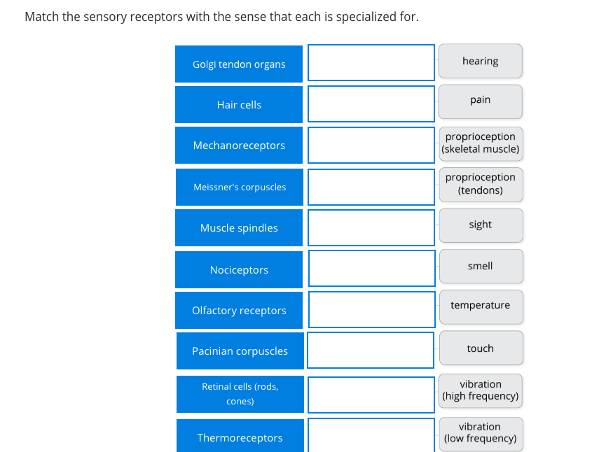 Solved Match the sensory receptors with the sense that each | Chegg.com