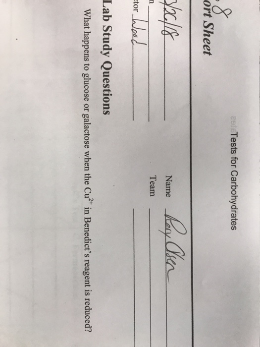 Solved Tests for Carbohydrates Report Sheet Date Section | Chegg.com