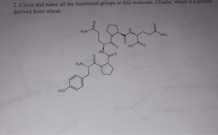 Solved 2. Circle and name all the functional groups in this | Chegg.com