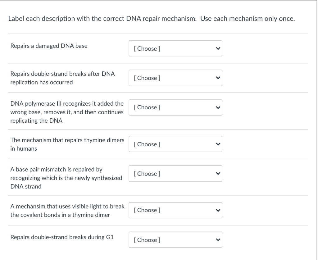 Solved Label each description with the correct DNA repair | Chegg.com