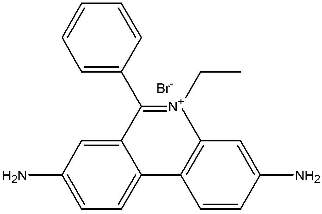 Solved Ethidium bromide is commonly used as a reagent to | Chegg.com