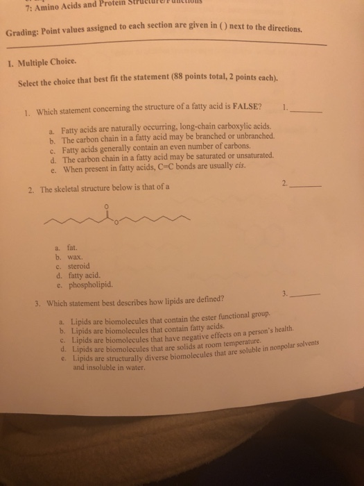 Solved 7: Amino Acids and Protein Structurepuletion Grading: | Chegg.com