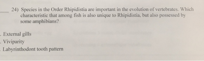 Solved Species in the Order Rhipidistia are important in the | Chegg.com