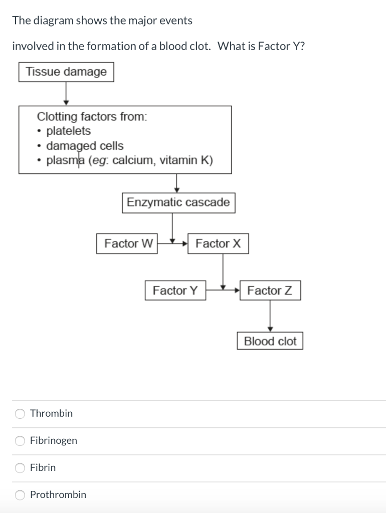 Solved The diagram shows the major events involved in the | Chegg.com