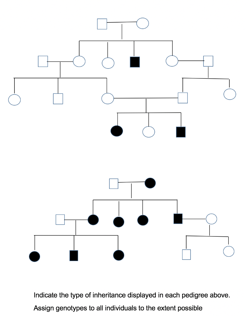 Solved Indicate the type of inheritance displayed in each | Chegg.com