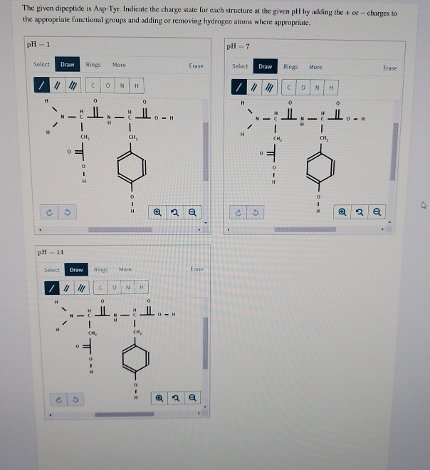 Solved "The given dipeptide is Asp-Tyr. Indicate the charge | Chegg.com