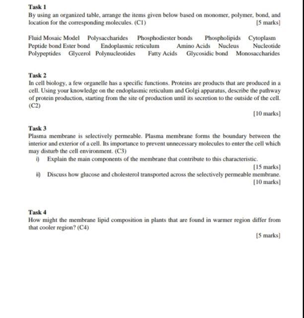 Solved Task 1 By using an organized table, arrange the items | Chegg.com