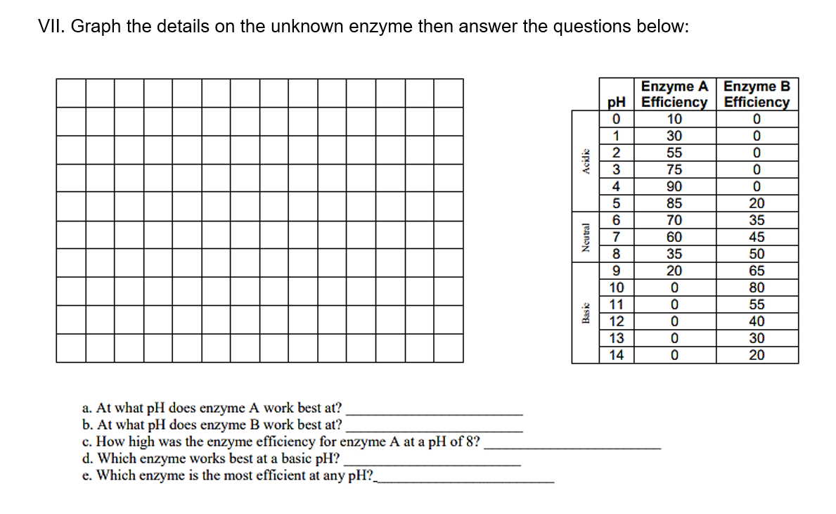 Solved VII. Graph the details on the unknown enzyme then | Chegg.com