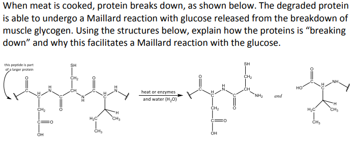 Solved When meat is cooked, protein breaks down, as shown | Chegg.com
