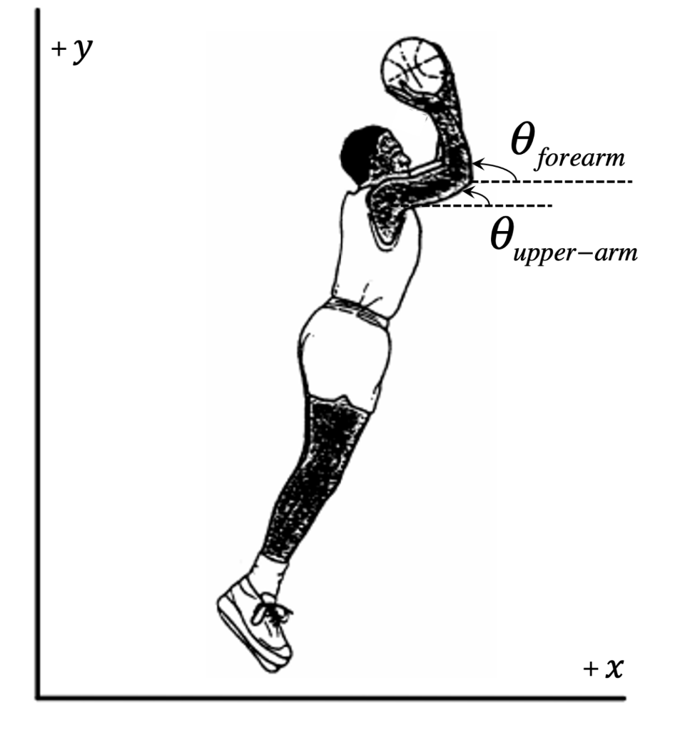 Solved Refer to the diagram of an athlete taking a jump shot | Chegg.com