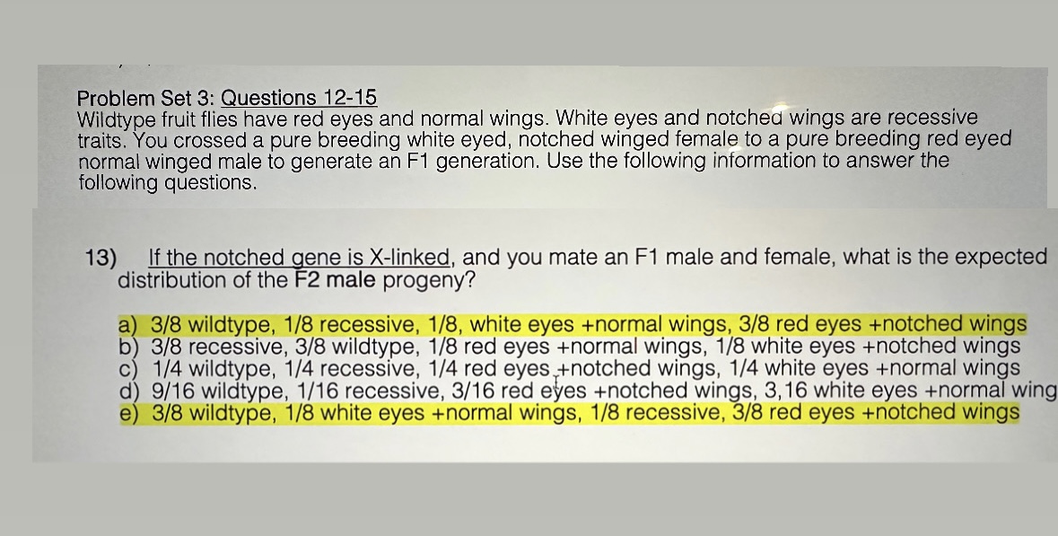 Solved Problem Set 3: Questions 12-15Wildtype fruit flies | Chegg.com