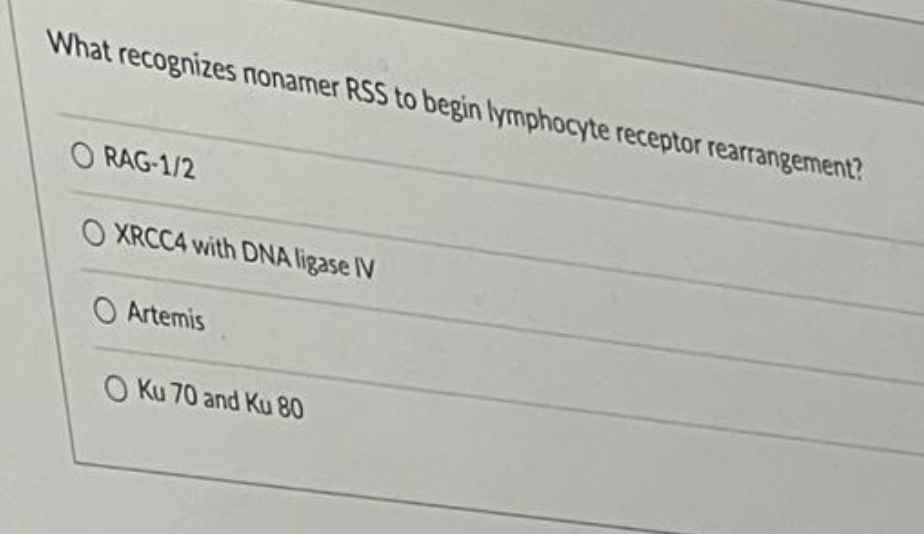 Solved A mixture of S. aureus and the enteric bacteria | Chegg.com