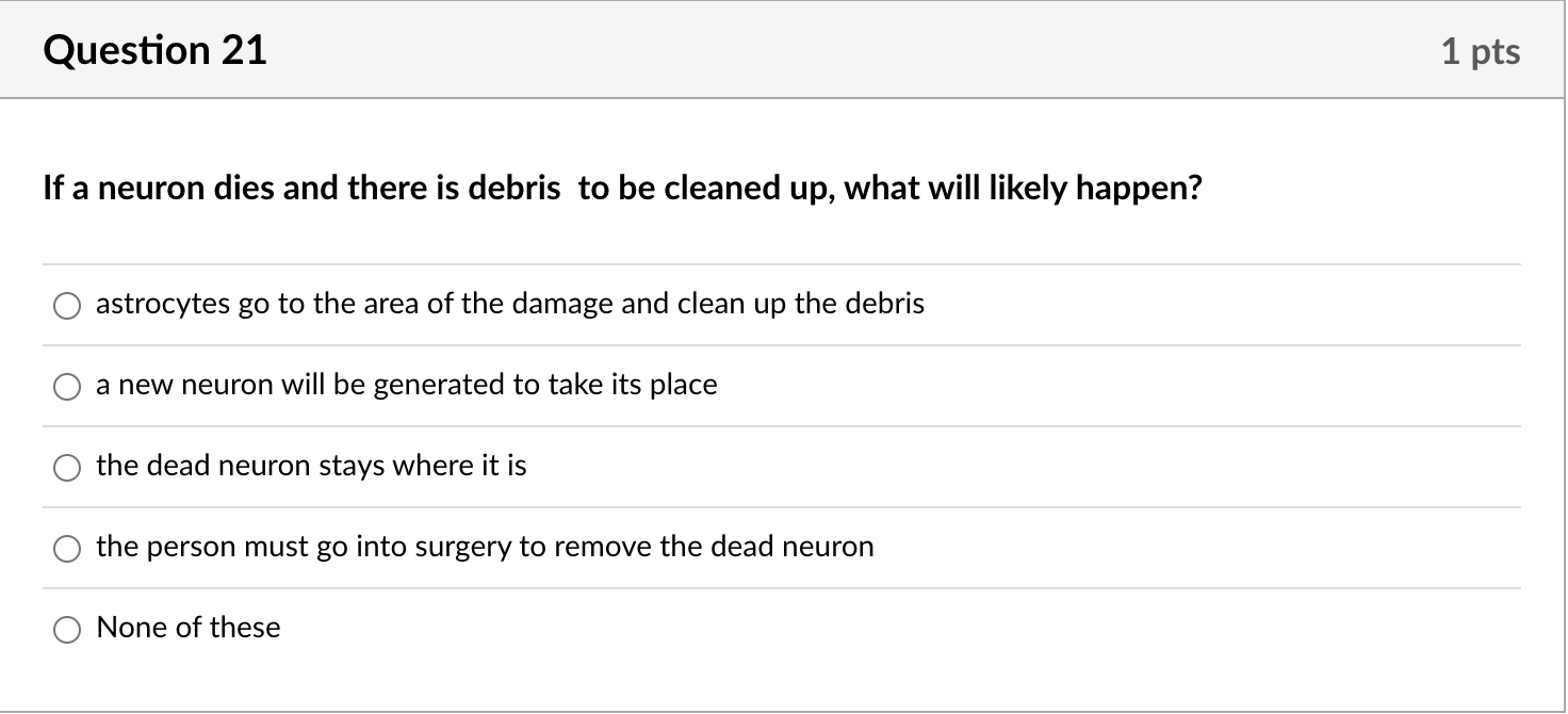 Solved Question 21 1 pts If a neuron dies and there is | Chegg.com