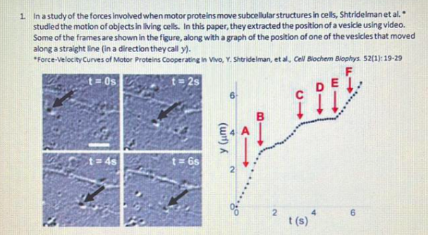 Solved In a study of the forces involved when motor proteins | Chegg.com