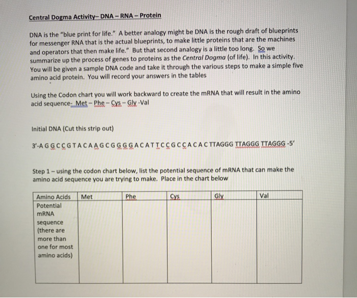 Solved Central Dogma Activity- DNA-RNA-Protein DNA is the | Chegg.com