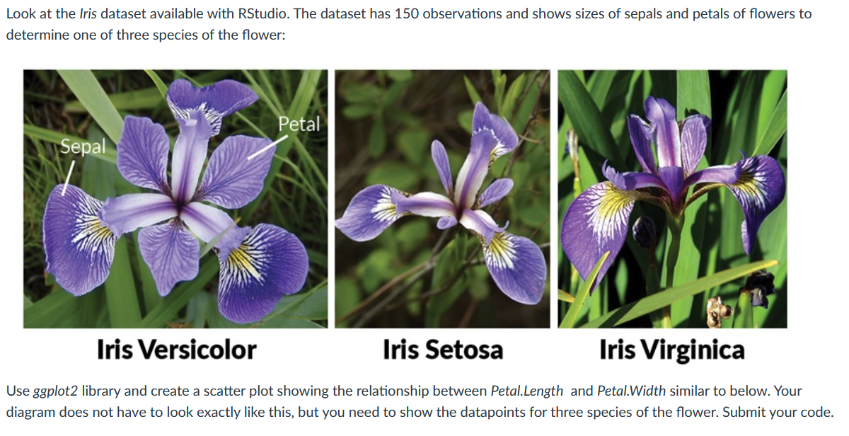Solved Look at the Iris dataset available with RStudio. The | Chegg.com
