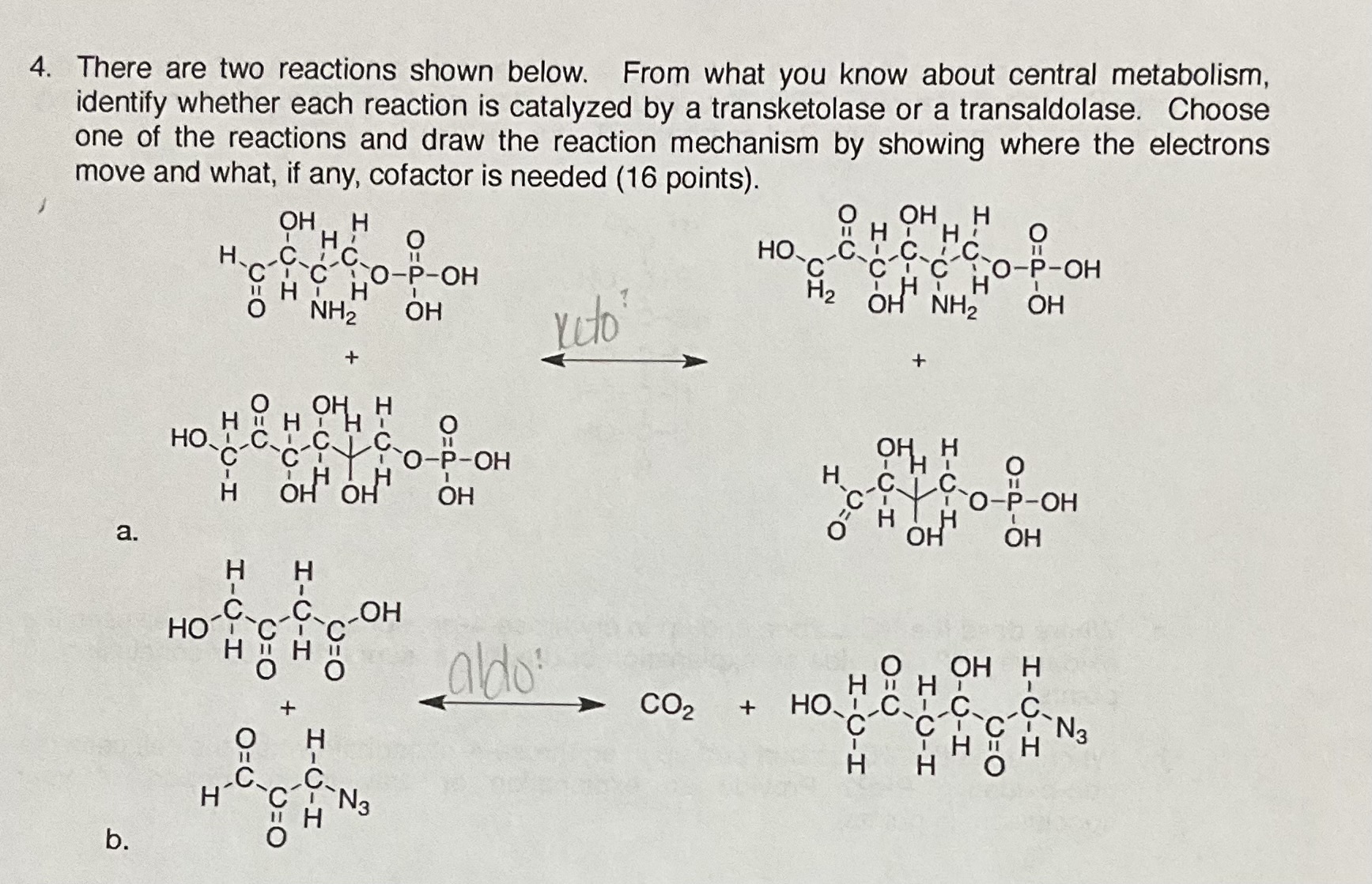 Solved 4. ﻿There are two reactions shown below. From what | Chegg.com