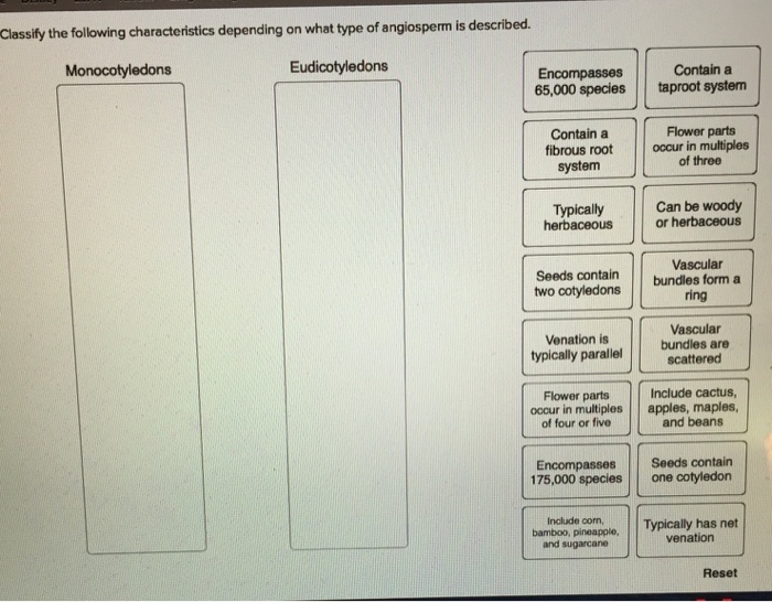 Solved Classify the following characteristics depending on | Chegg.com
