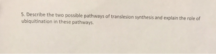 Solved 5. Describe the two possible pathways of translesion | Chegg.com