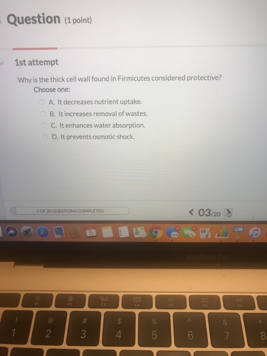 Solved Question (1 point) 1st attempt Why is the thick cell | Chegg.com