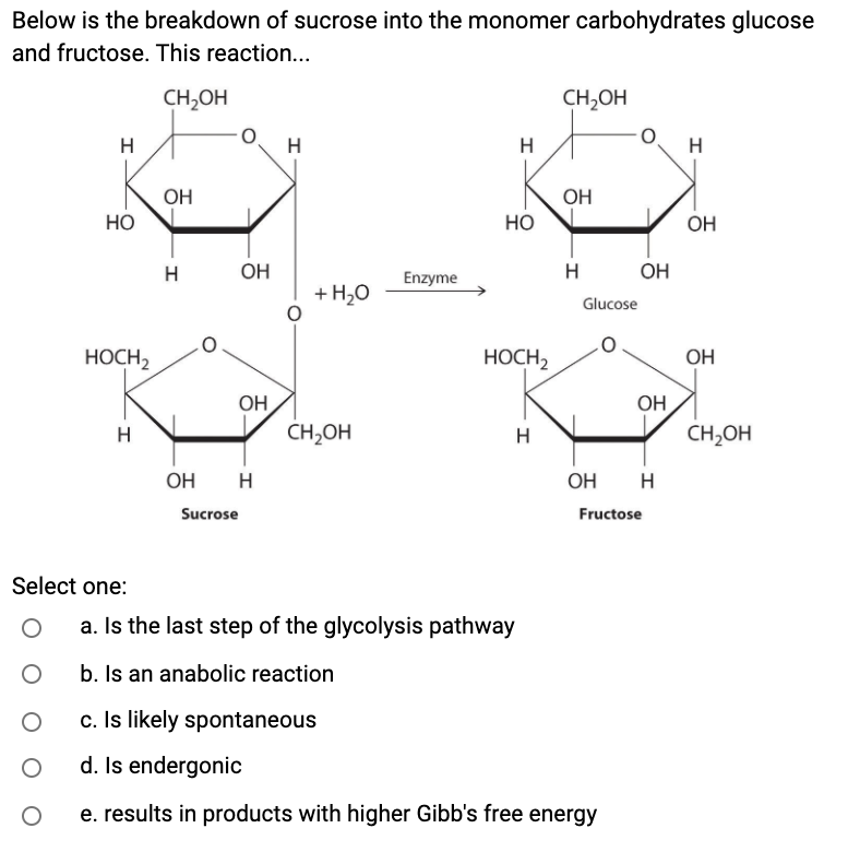 Solved Below is the breakdown of sucrose into the monomer | Chegg.com
