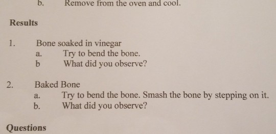 Solved b. Remove from the oven and cool. Results 1. Bone | Chegg.com