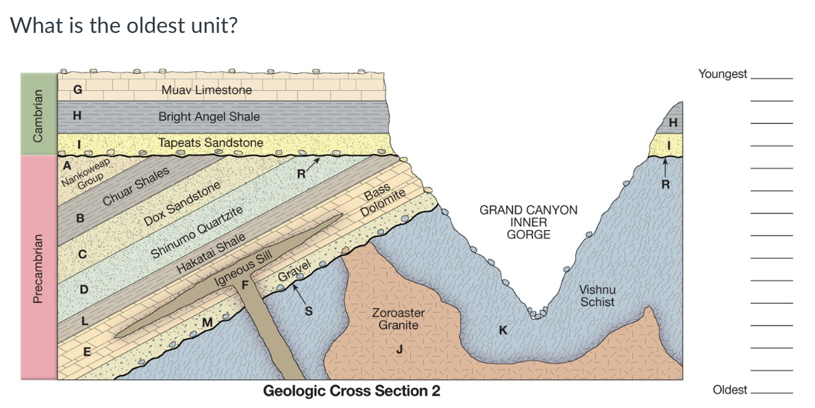 Solved What is the oldest unit? Geologic Cross Section 2 | Chegg.com