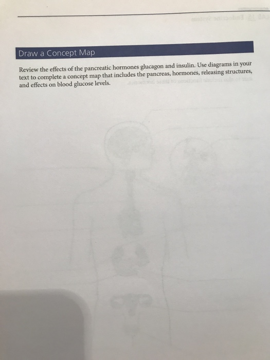 LAB 15: Endocrine System Draw a Concept Map Review | Chegg.com
