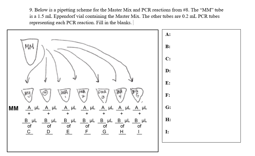 Solved 9. Below is a pipetting scheme for the Master Mix and | Chegg.com